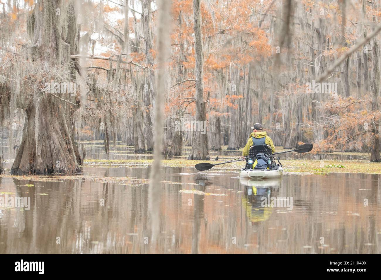 Cypress trees kayaking hi-res stock photography and images - Alamy