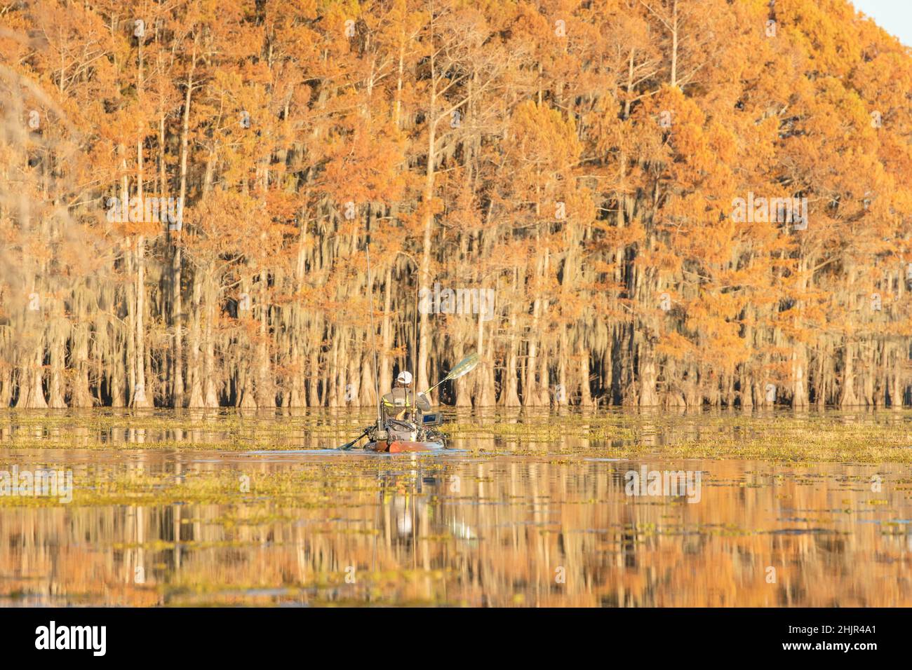 man paddling during fall kayak Stock Photo - Alamy