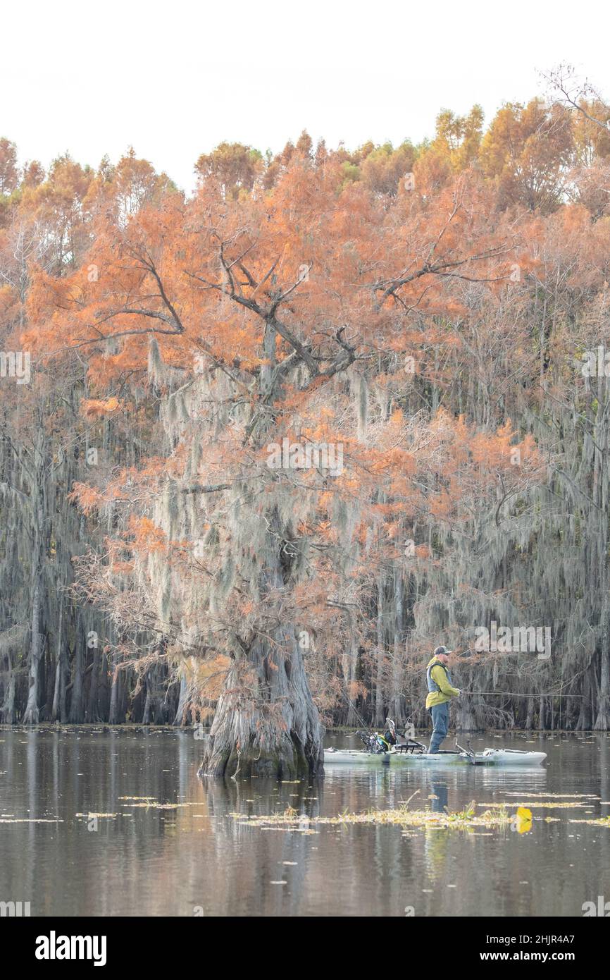 man fishing on th elake Stock Photo - Alamy