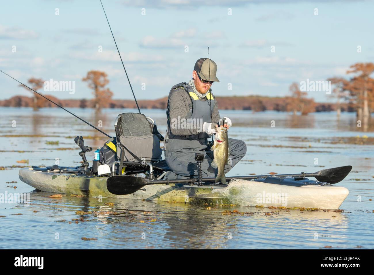 man catching largemouth bass from kayak Stock Photo - Alamy