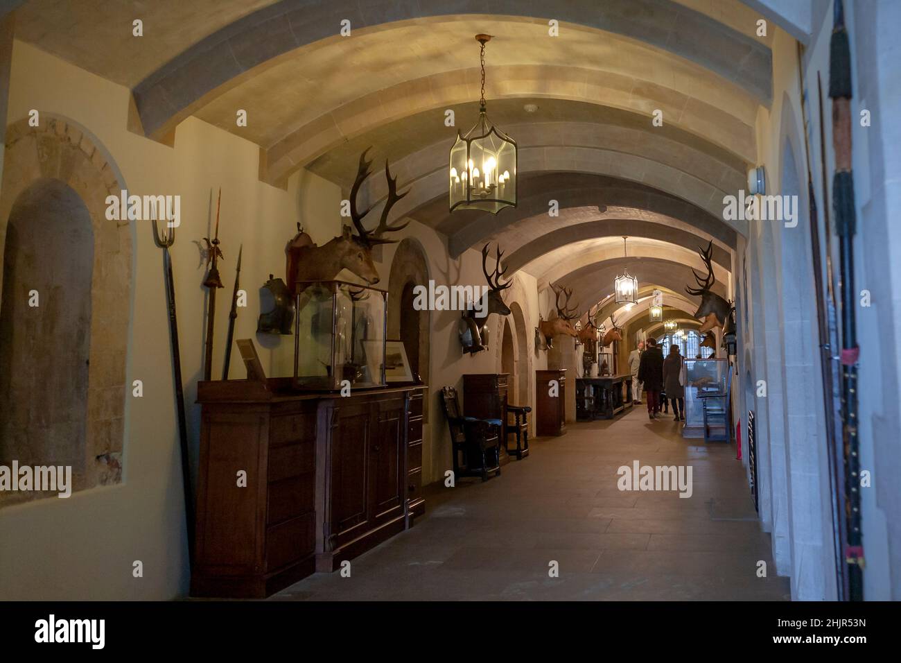 Arundel castle interior hi-res stock photography and images - Alamy