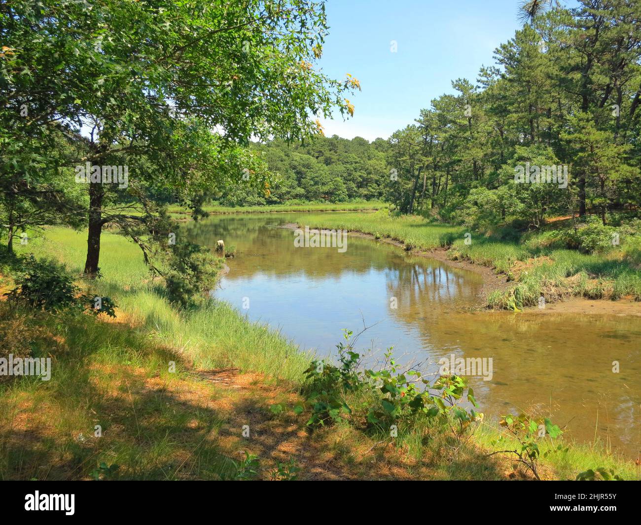 Wetland and towns hi-res stock photography and images - Alamy