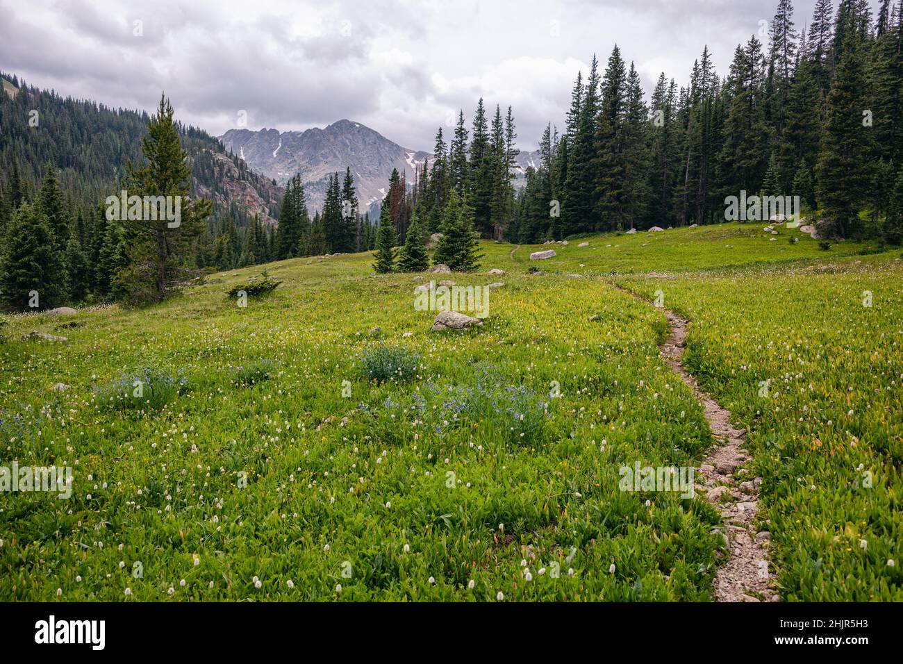 Hiking trail in the Indian Peaks Wilderness, Colorado Stock Photo - Alamy