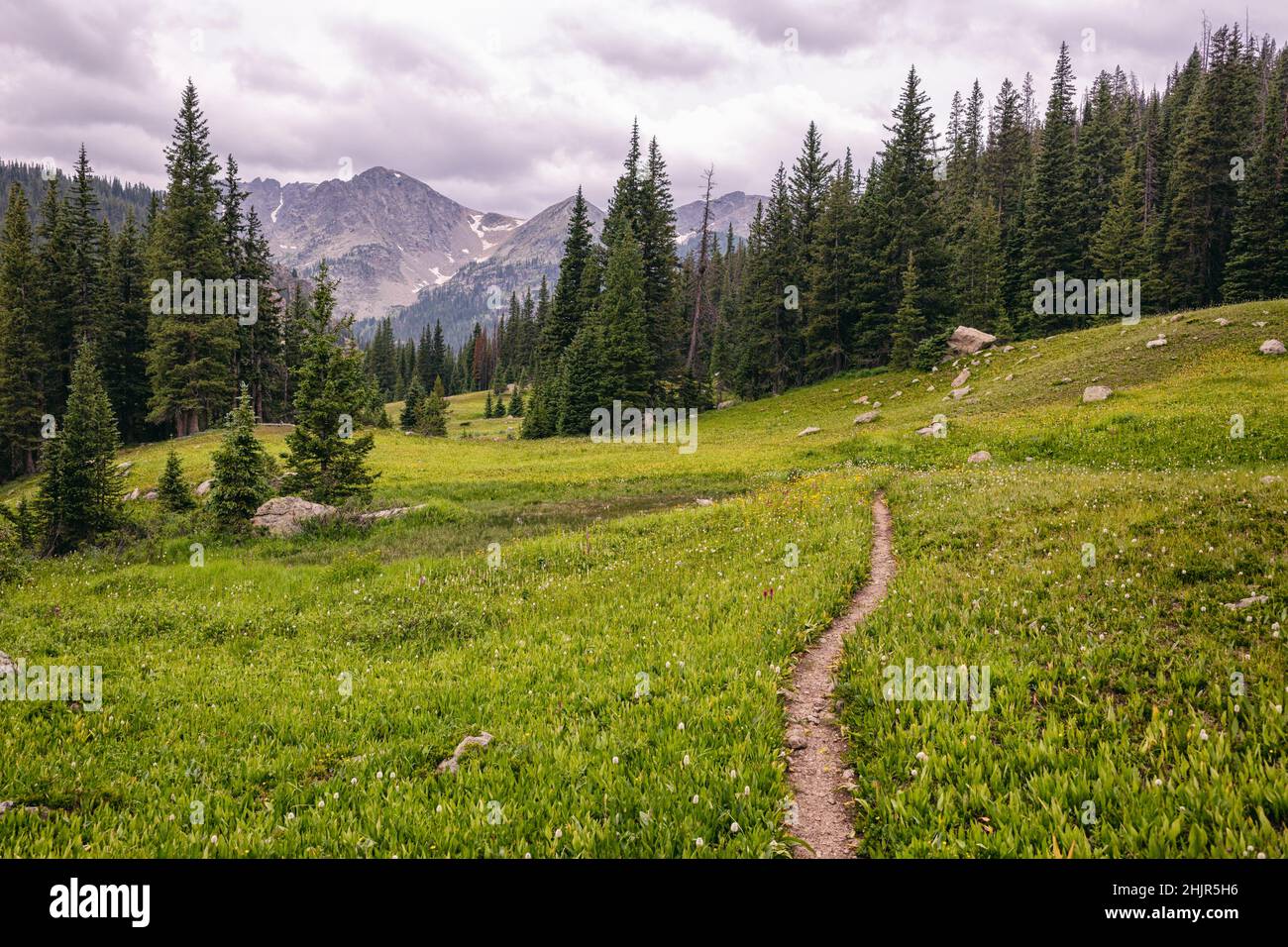 Hiking trail in the Indian Peaks Wilderness, Colorado Stock Photo - Alamy