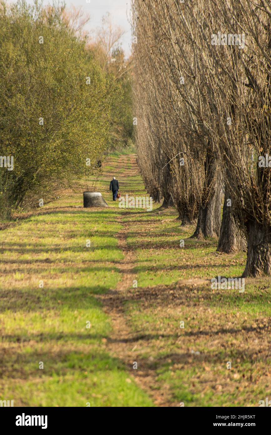 Man through trees hi-res stock photography and images - Alamy