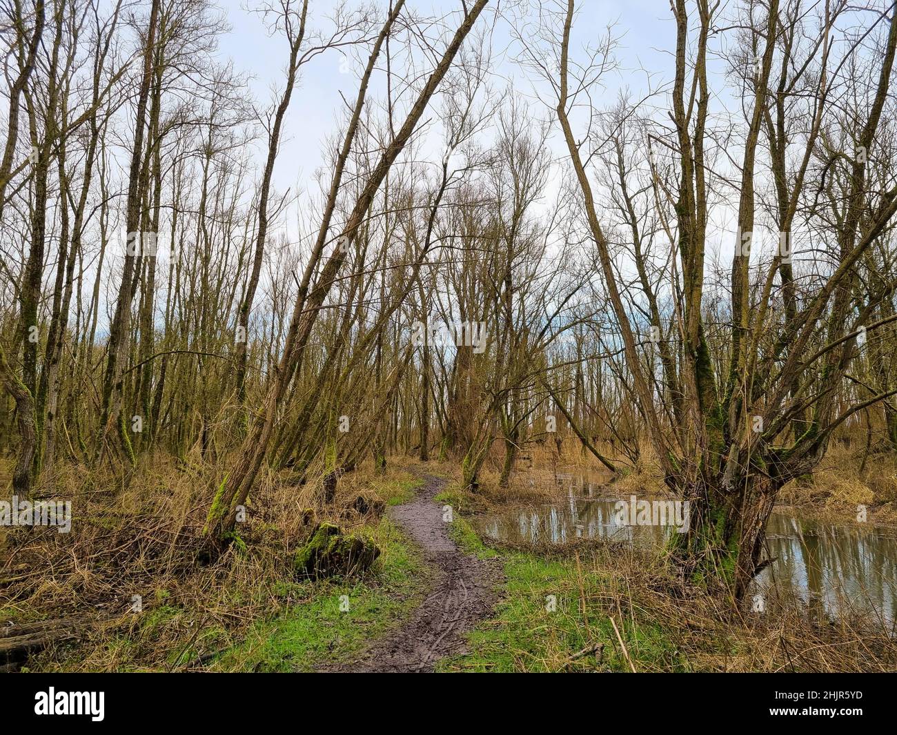 Freshwater tidal area hi-res stock photography and images - Alamy