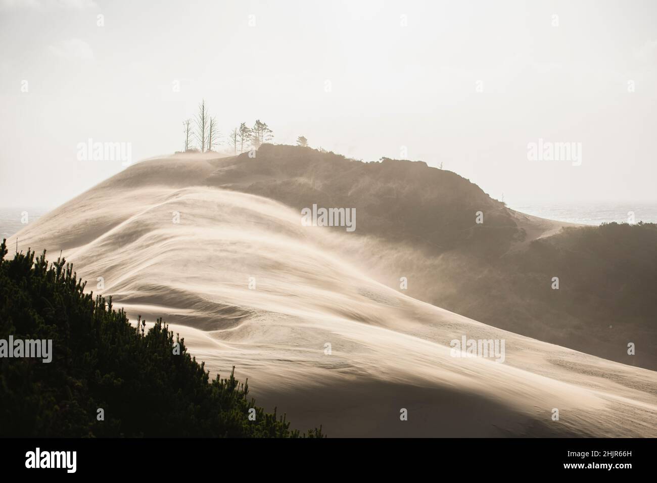 Sand blowing over the dunes in coastal Oregon Stock Photo - Alamy
