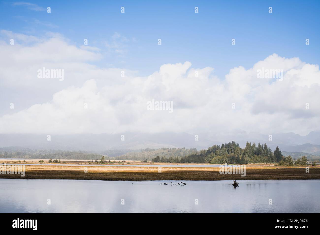 Landscape view of a river and marsh in coastal Oregon Stock Photo - Alamy