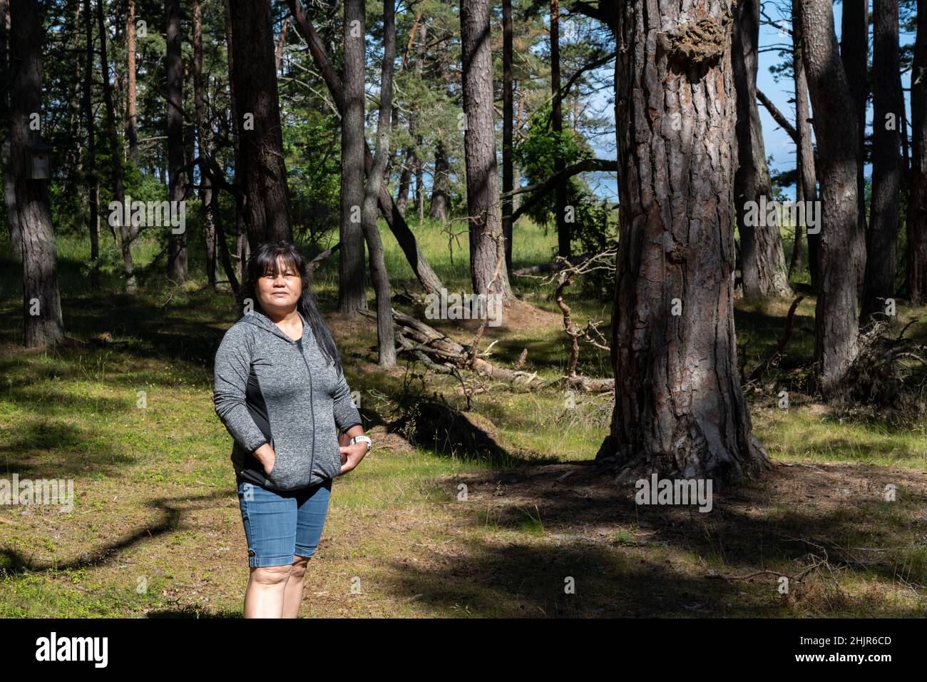 Middle aged tree hi-res stock photography and images - Alamy