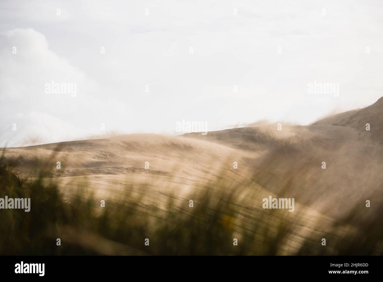 Sand blowing over the dunes in coastal Oregon Stock Photo - Alamy
