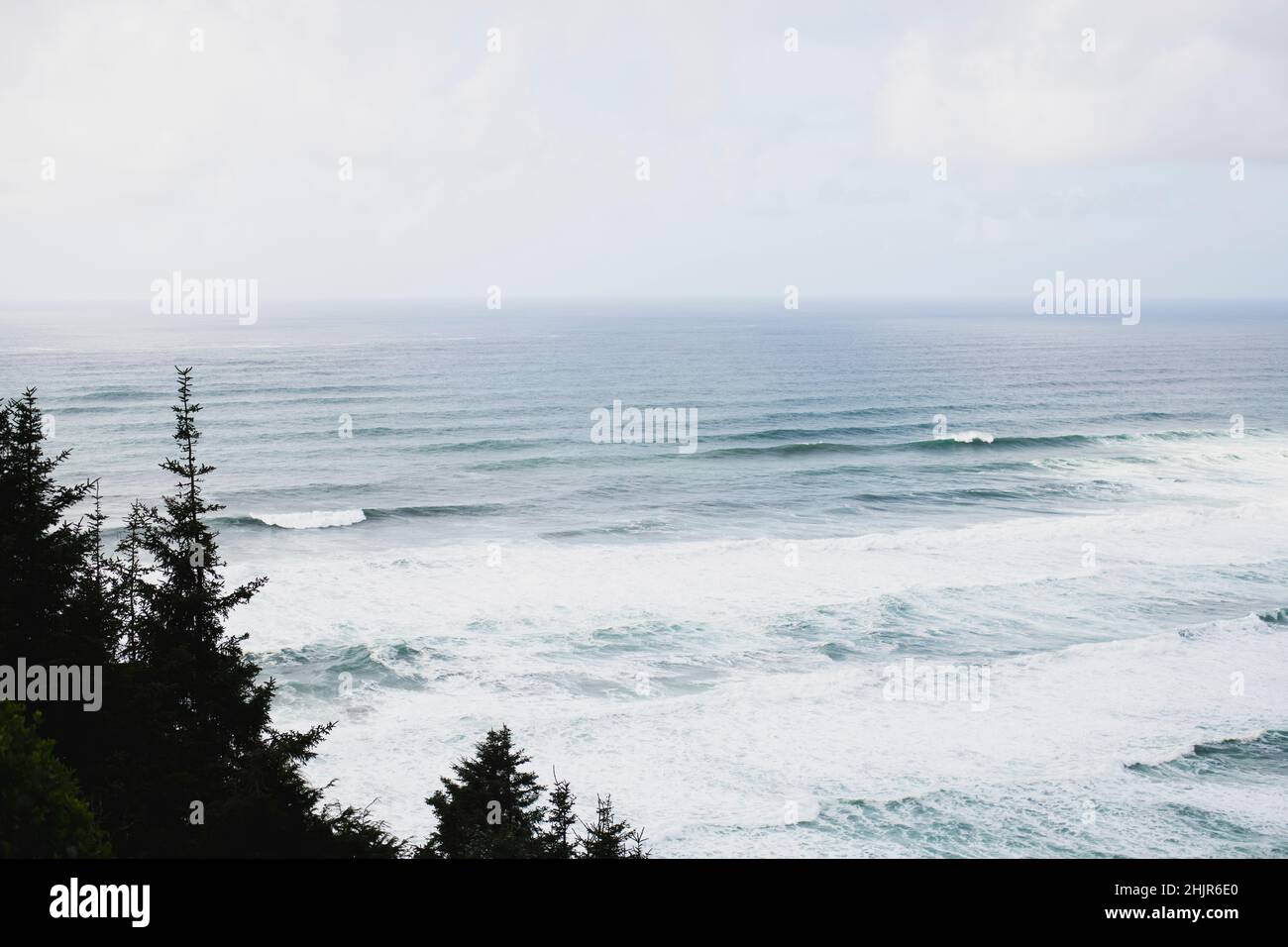 Coastal temperate rainforest climate hi-res stock photography and ...