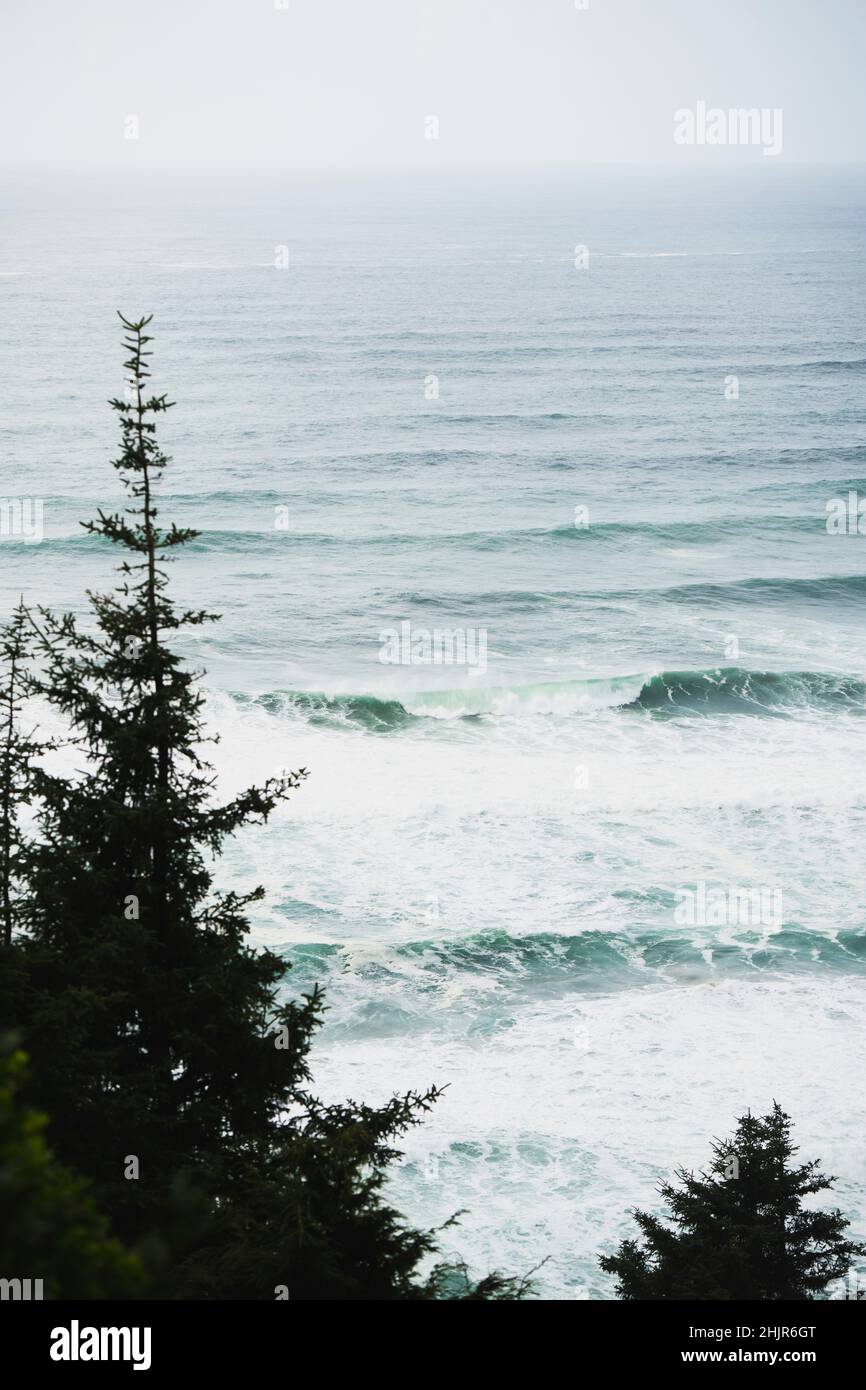 Coastal temperate rainforest climate hi-res stock photography and ...