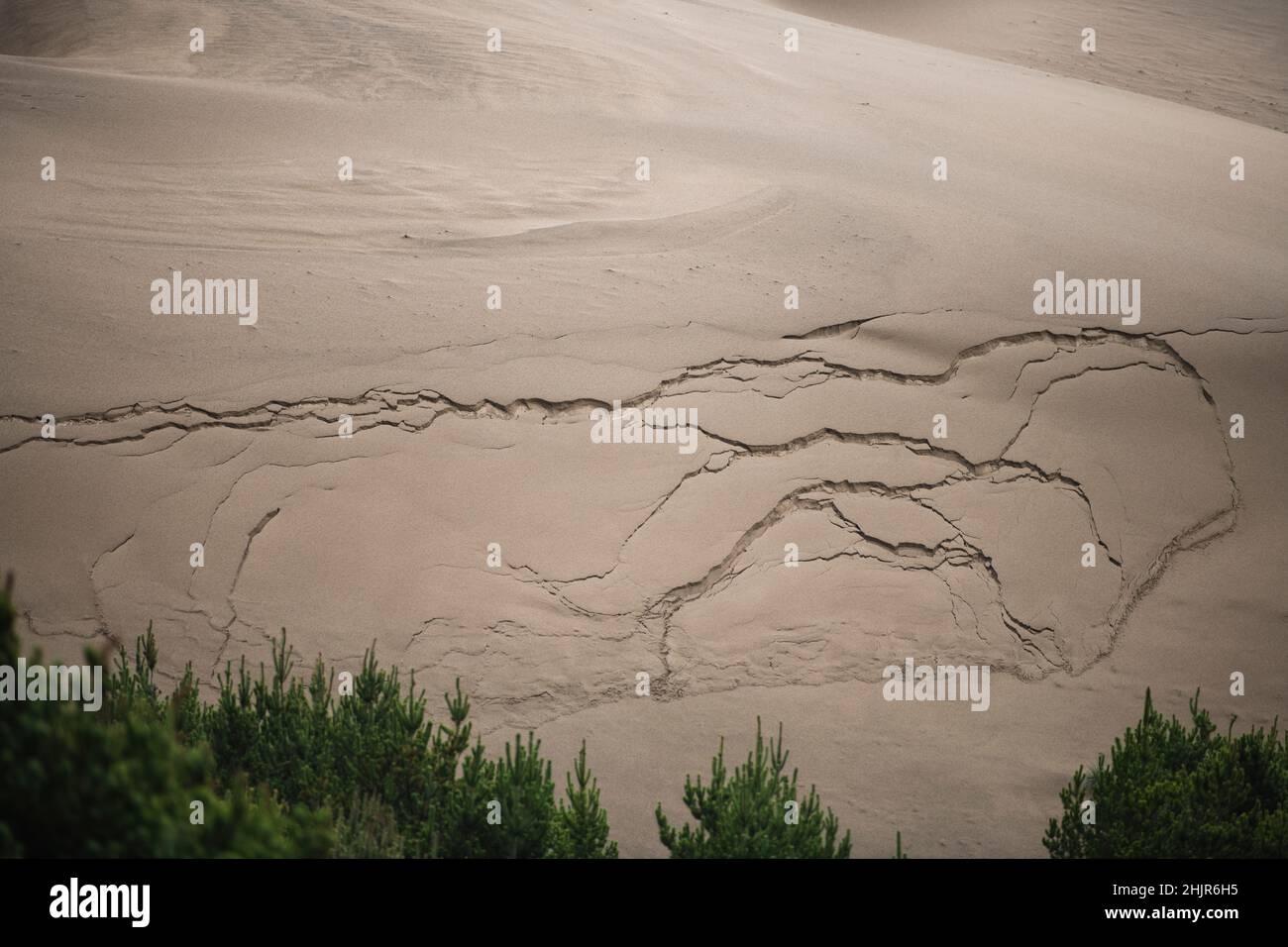 Oregon dunes state natural area hi-res stock photography and images - Alamy