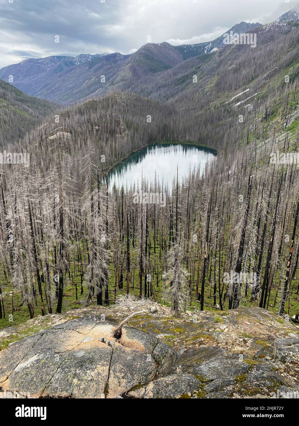 Myrtle Lake from above surrounded by burned trees from a wildfire Stock ...