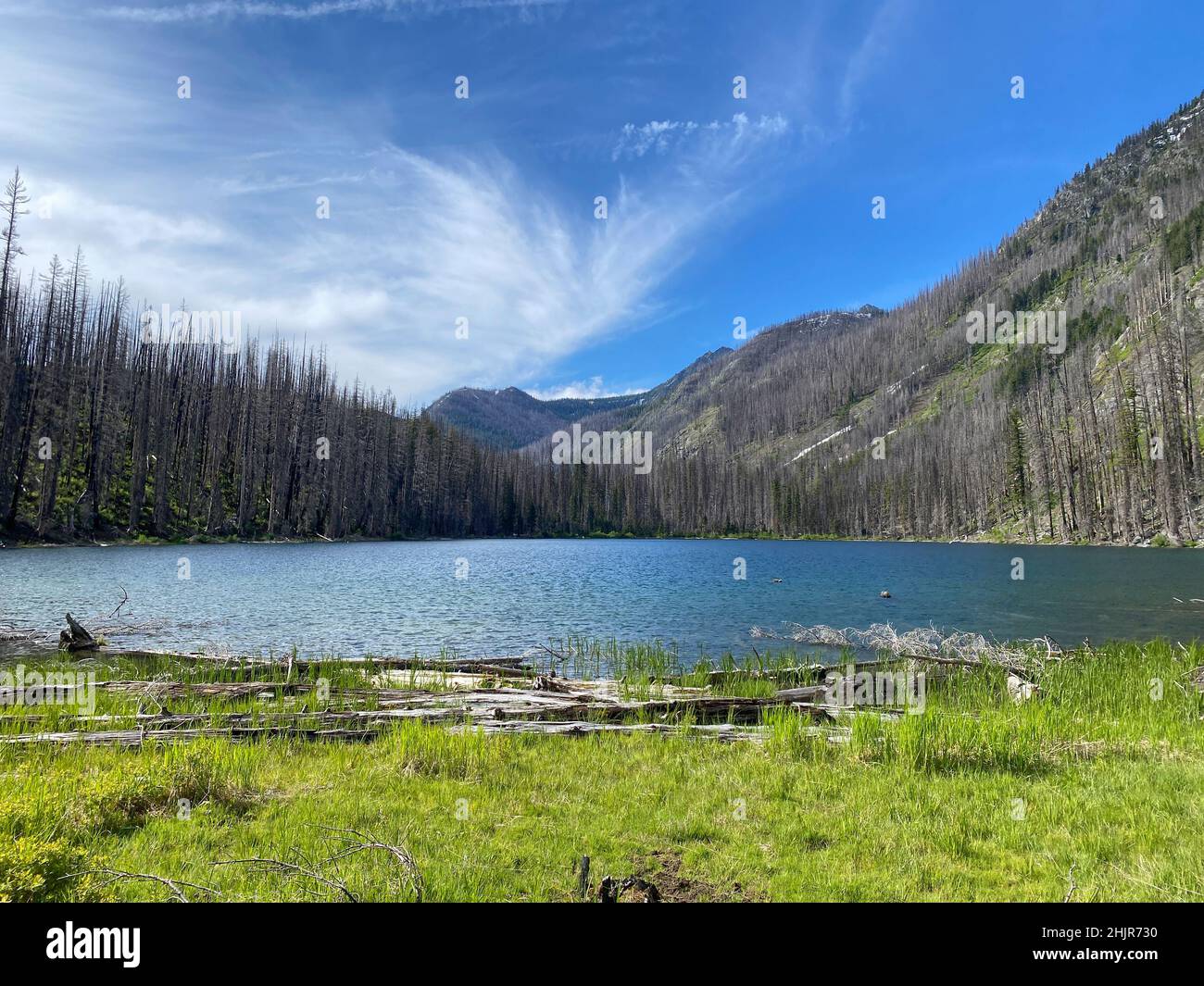 Alpine lake with dead burned trees from a wildfire Stock Photo - Alamy
