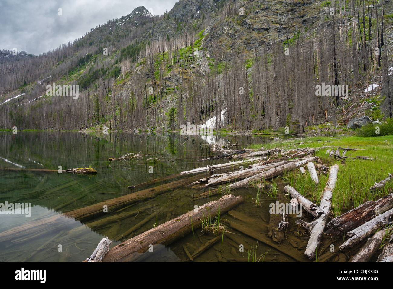 Alpine lake surrounded by dead burned trees in the Entiat river valley ...