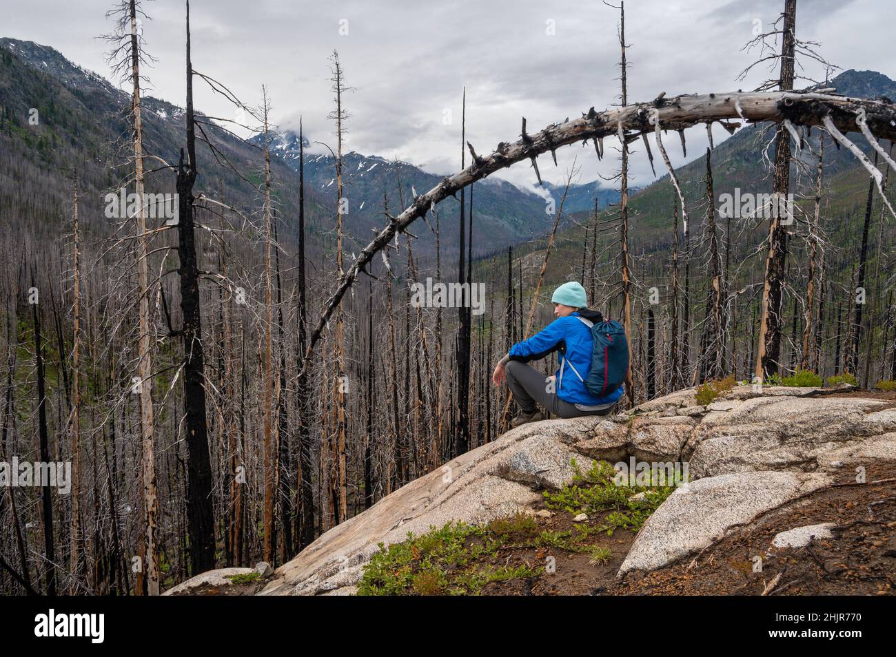 Female sits on ledge in the Entiat river valley Stock Photo - Alamy