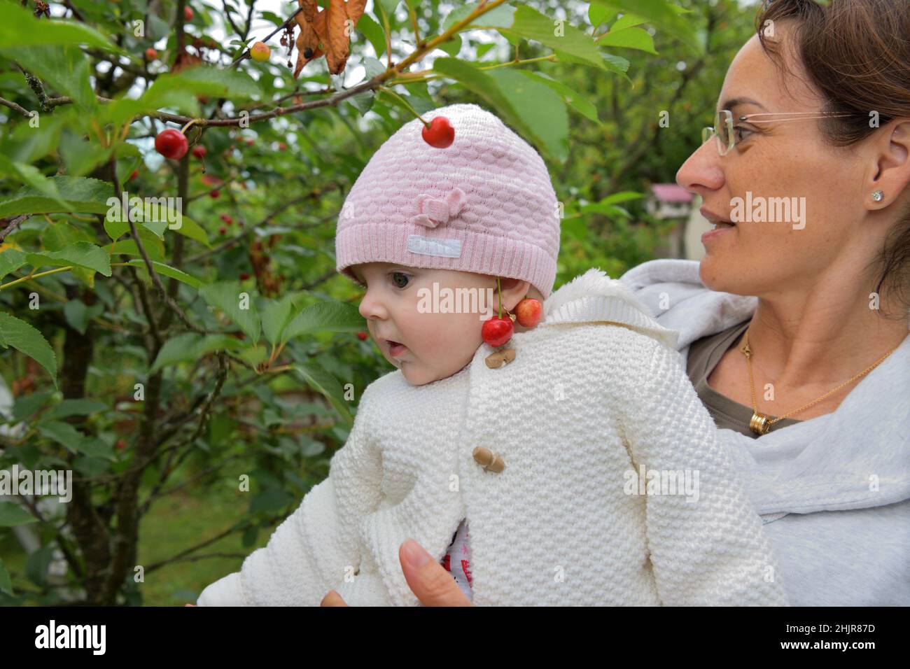 Portrait of a one-year-old girl with ripe red cherries on her ears like ...