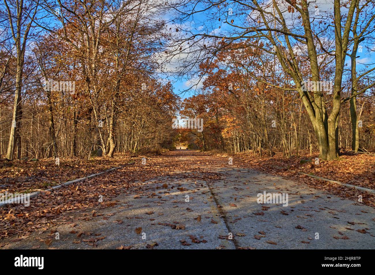 Palisades Interstate Park State Line Lookout in the fall. Along old ... Palisades Interstate Park State Line Lookout in the fall. Along old ...