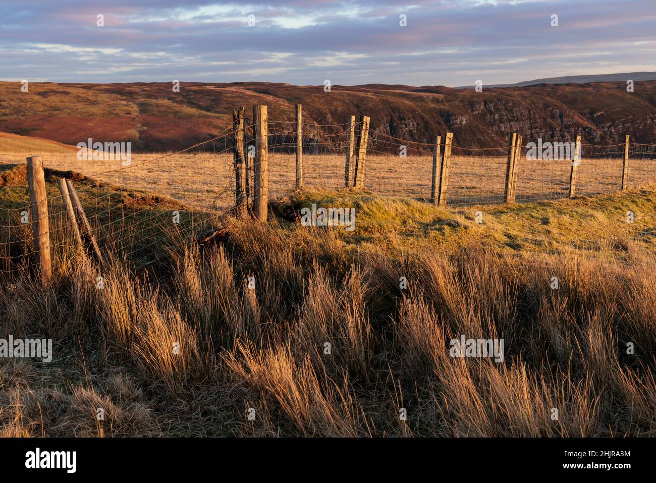 Cambrian mountain wales hi-res stock photography and images - Alamy