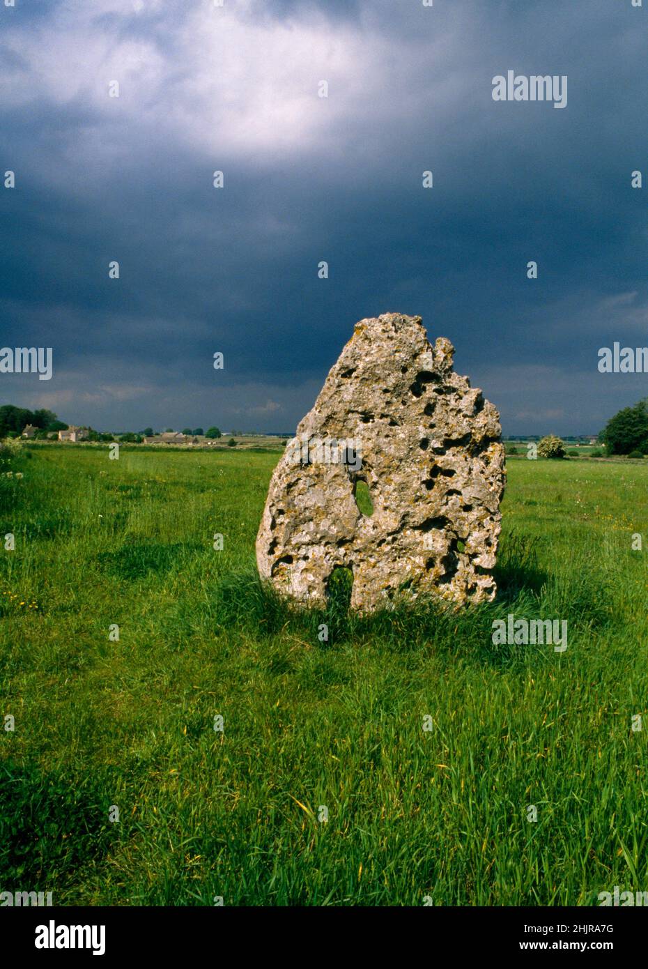 View NE of the Long Stone standing stone, Minchinhampton ...