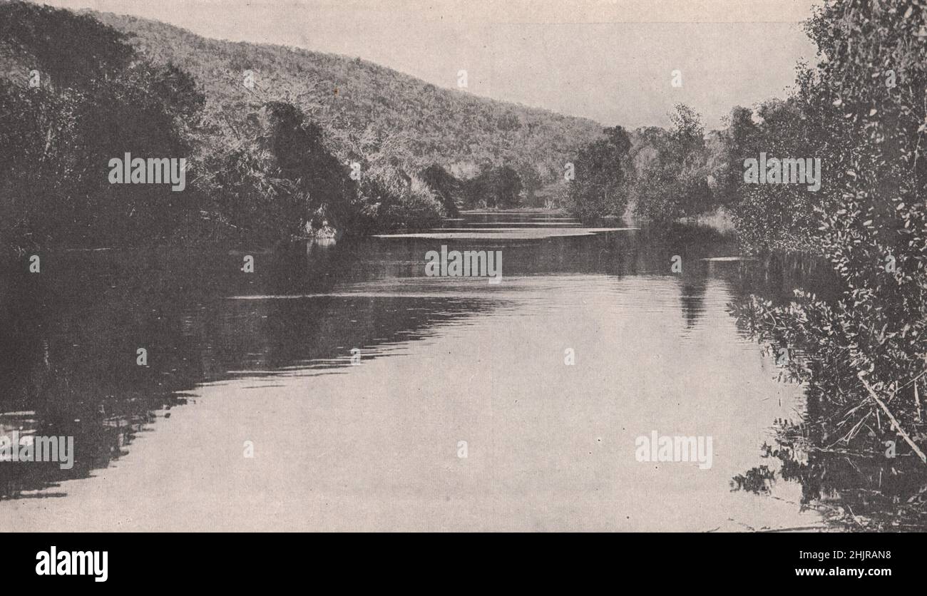Section of the milk river, a waterway of Jamaica famed for its mineral ...