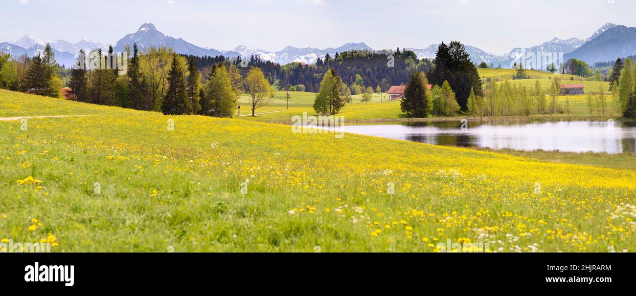 panoramic landscape with meadow and mountains at springtime Stock Photo ...