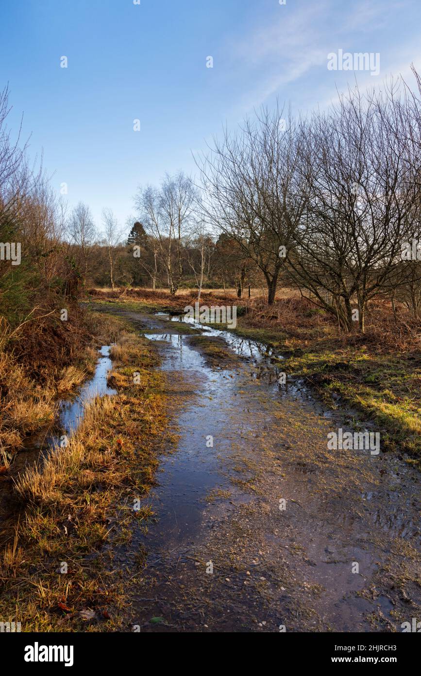 Footpath at Cleddon, near Trellech in the lower Wye Valley Stock Photo ...