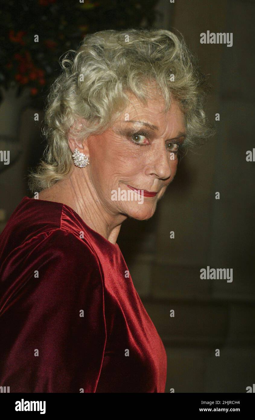 Patricia Buckley attends the opening reception of the Costume Institute ...