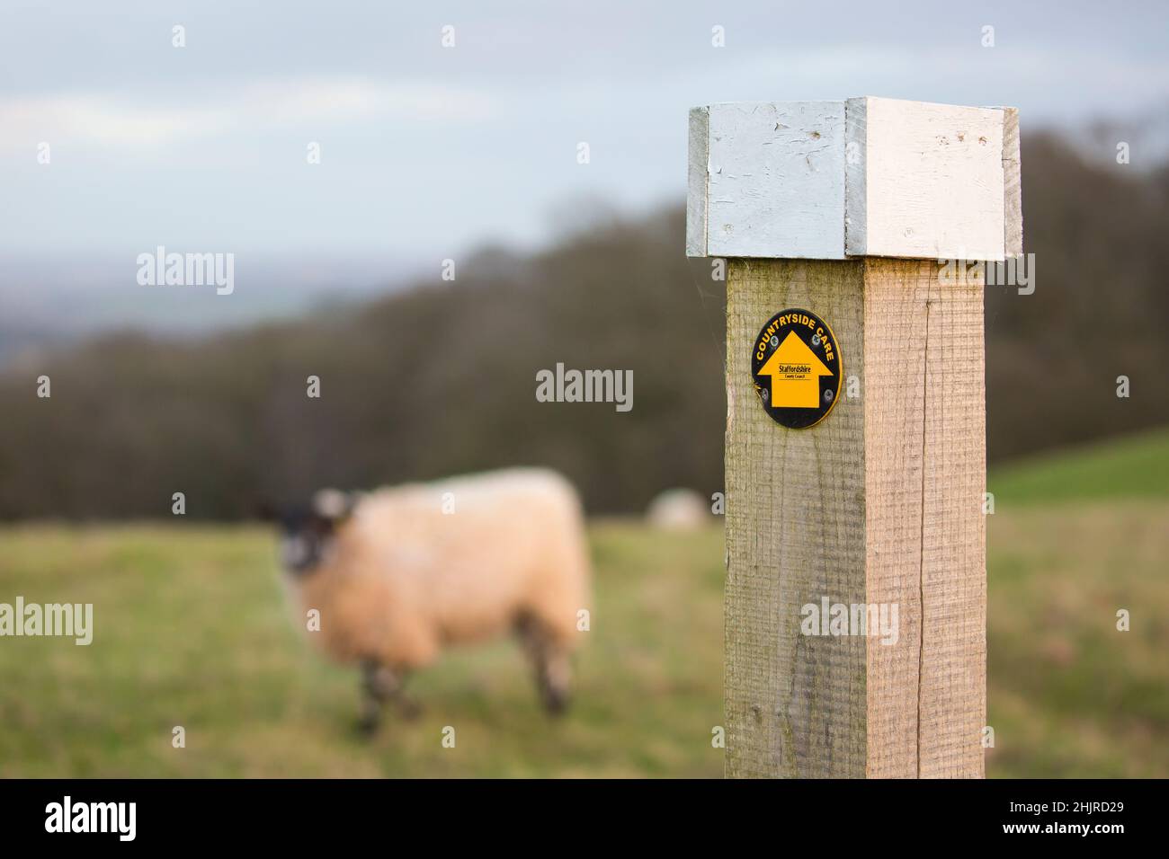 Countryside Care yellow arrow sign on footpath marker post in UK ...