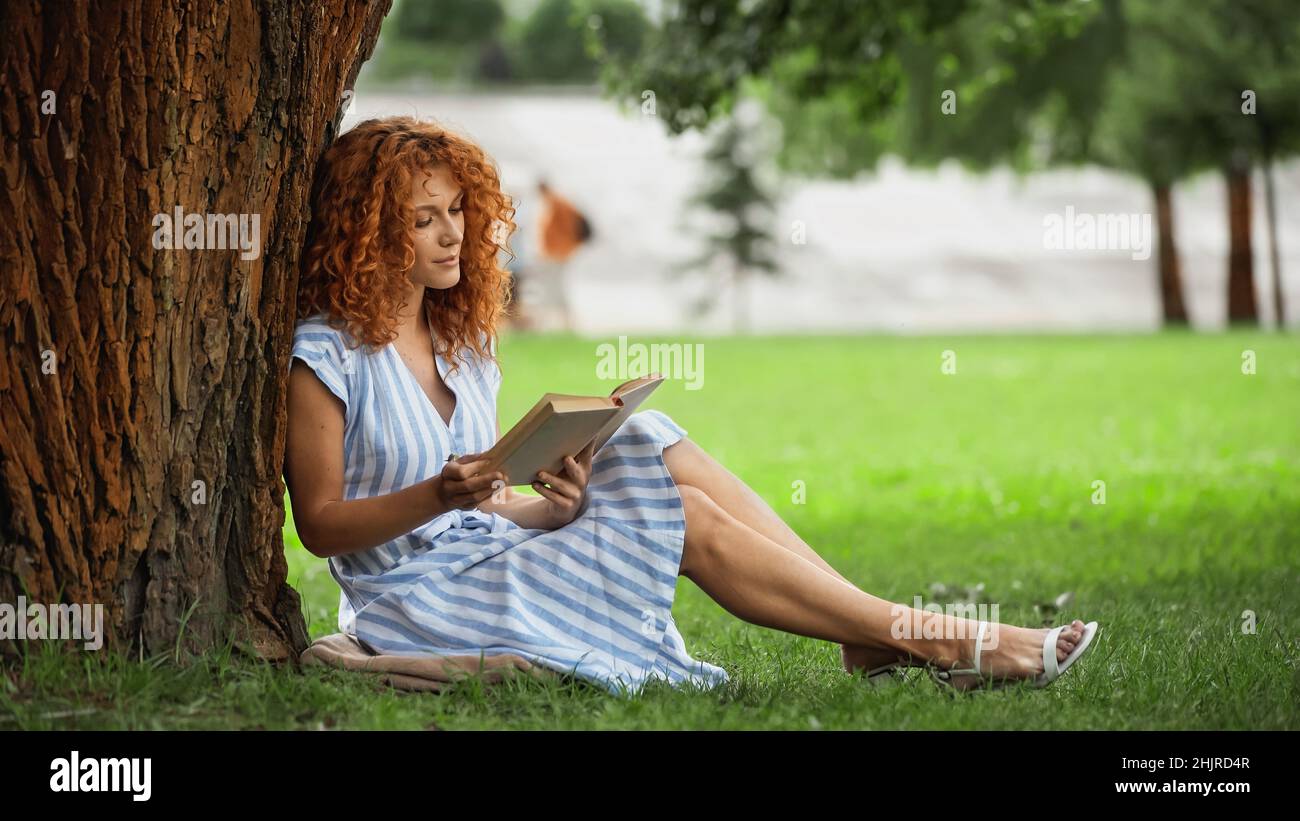Woman reading under tree hi-res stock photography and images - Alamy