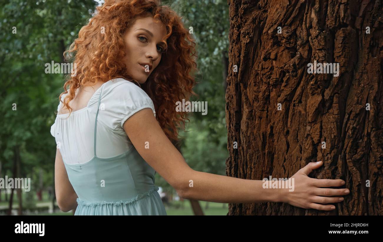 pretty redhead woman in blue dress standing near tree trunk in park ...