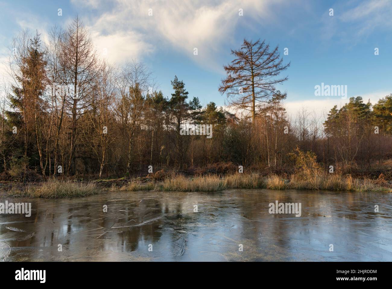 Frozen pond at Cleddon, near Trellech in the lower Wye Valley Stock ...