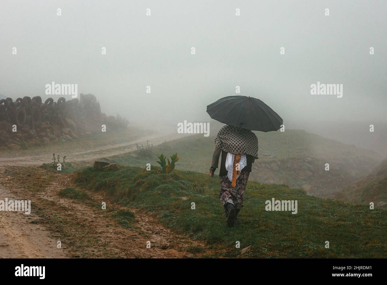 Woman walking alone with umbrella on muddy pasture in foggy, rainy day ...