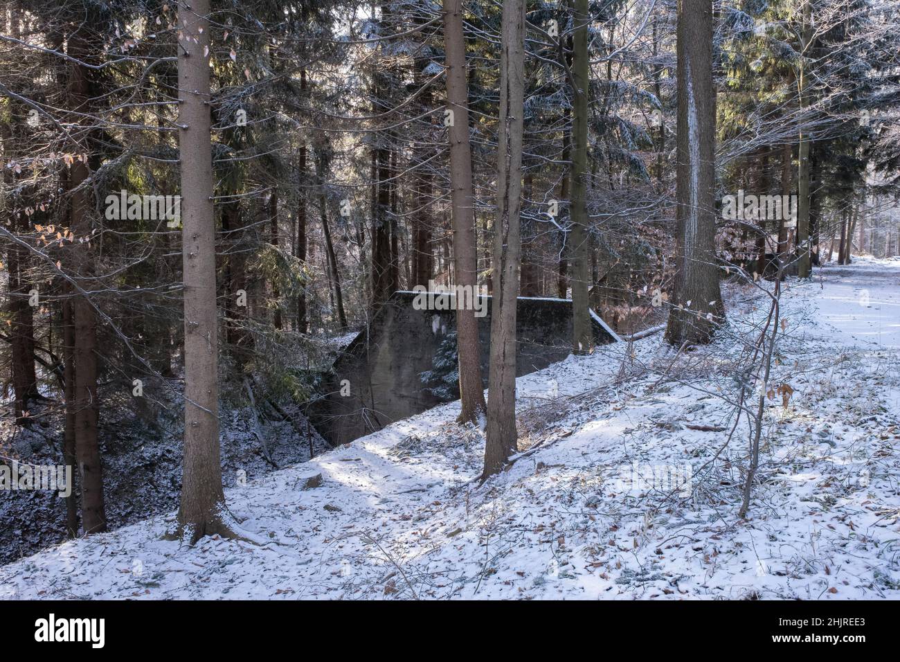 Gluszyca, Poland - January 12, 2022. Projekt Riese, complex Osowka. The ...