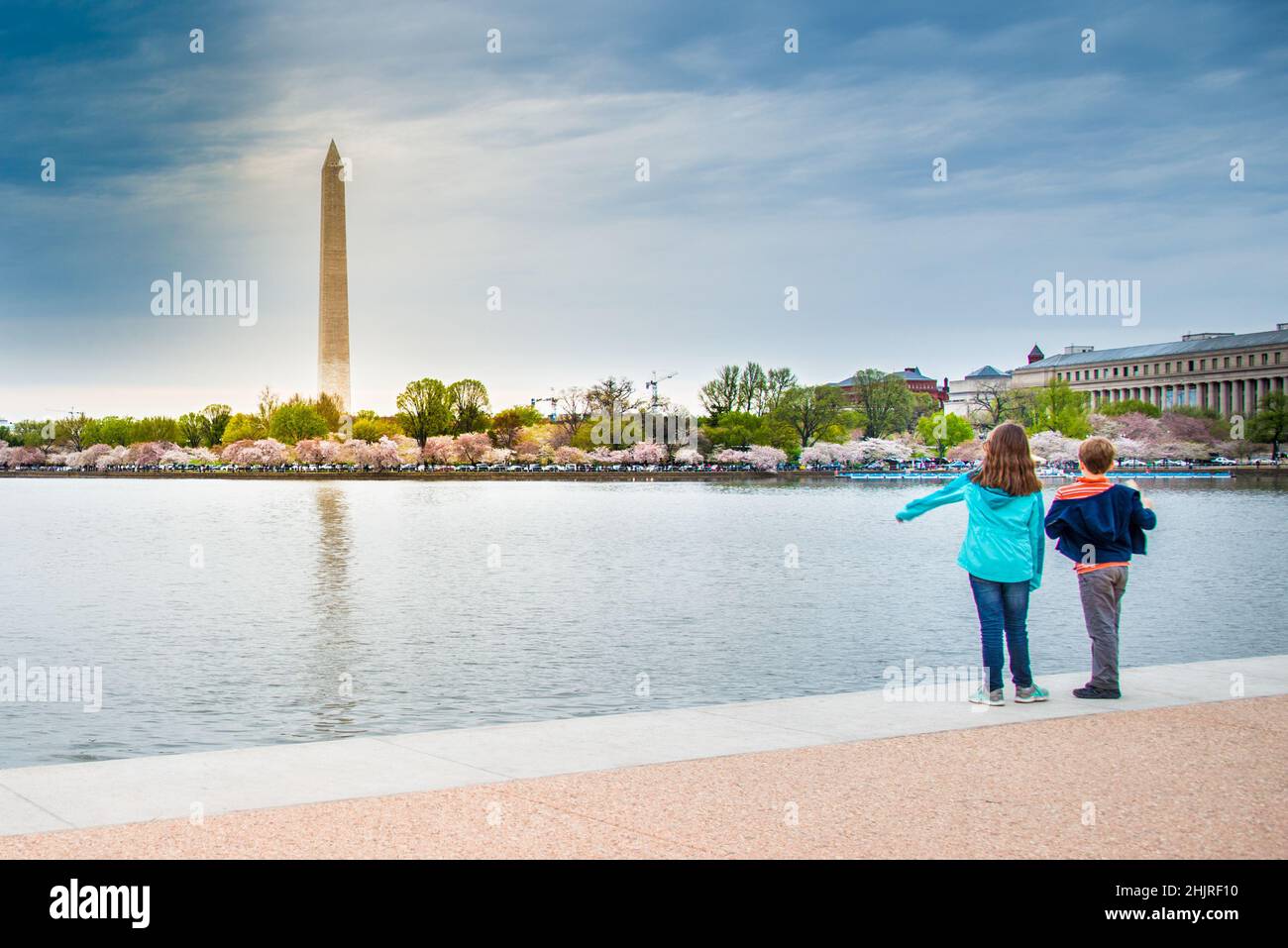 Tidal basin gardens hi-res stock photography and images - Alamy