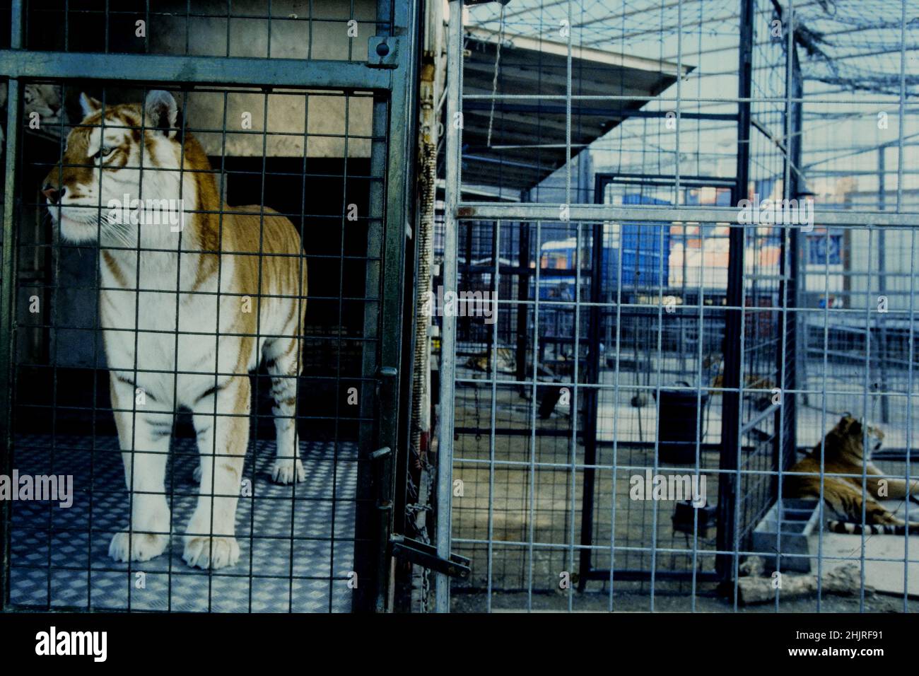 Archives 90ies: Biennal of the Circus, Lyon, France, 1995 Stock Photo ...