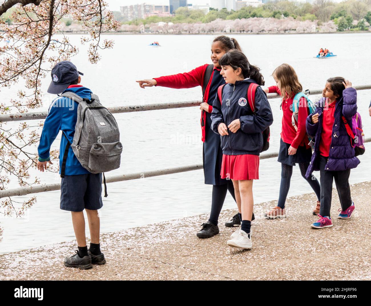 Tidal basin perimeter hi-res stock photography and images - Alamy