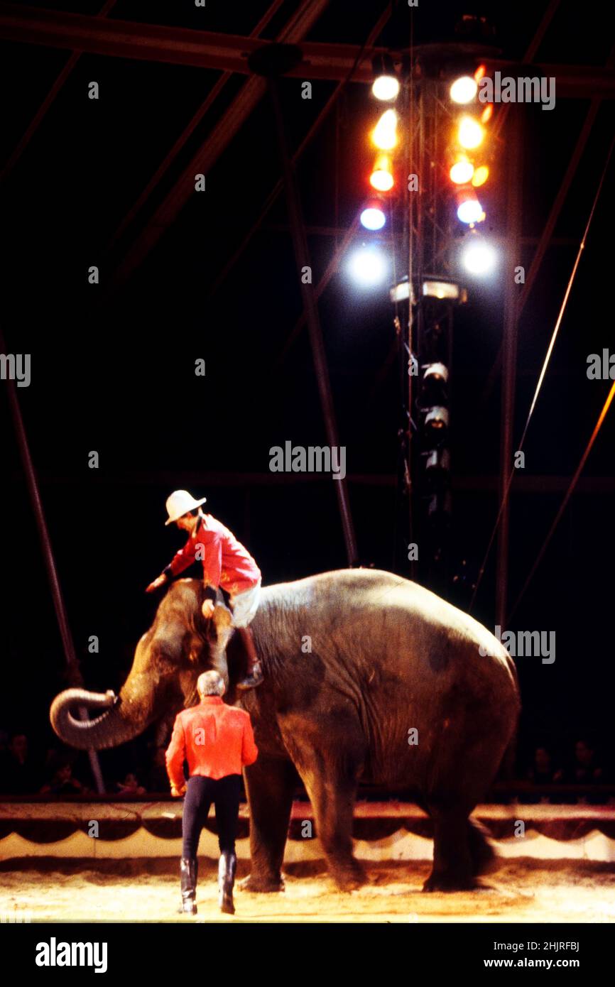 Biennal of the circus hi-res stock photography and images - Alamy