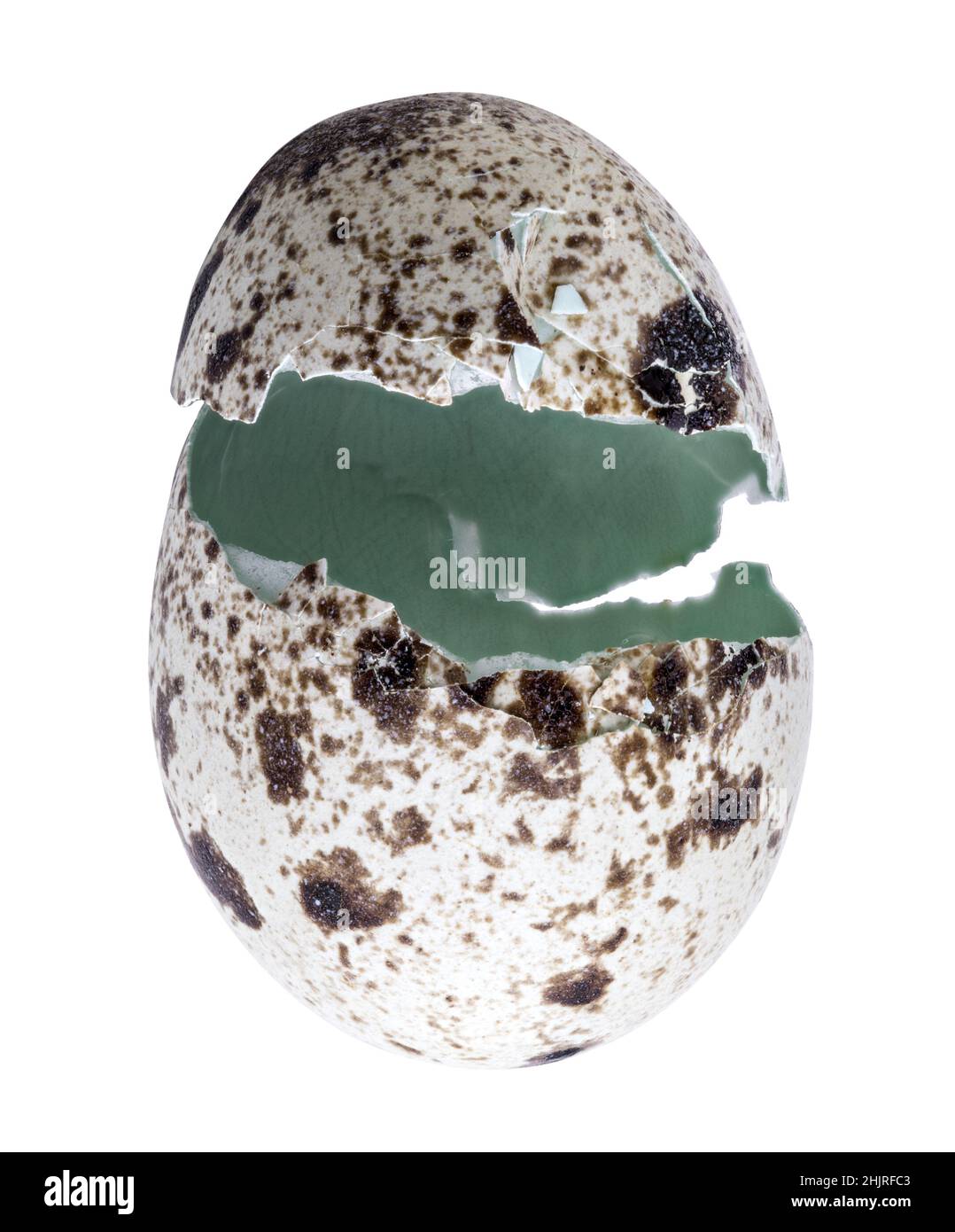 Broken quail egg shell isolated on white background. Clipping path ...