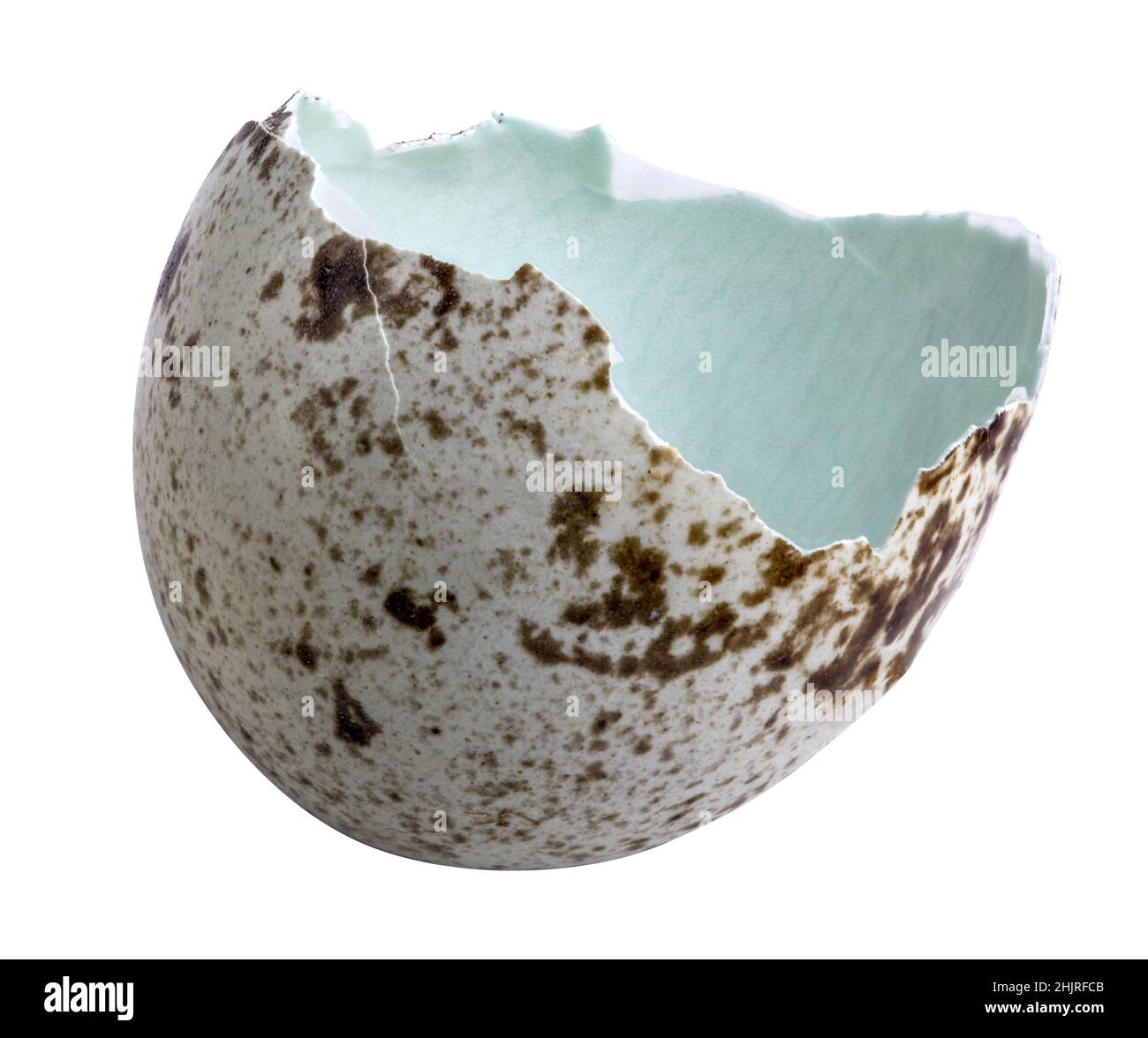Broken quail egg shell isolated on white background. Clipping path ...