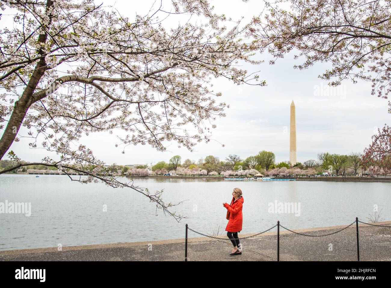 THE TIDAL BASIN, Washington, DC Stock Photo - Alamy