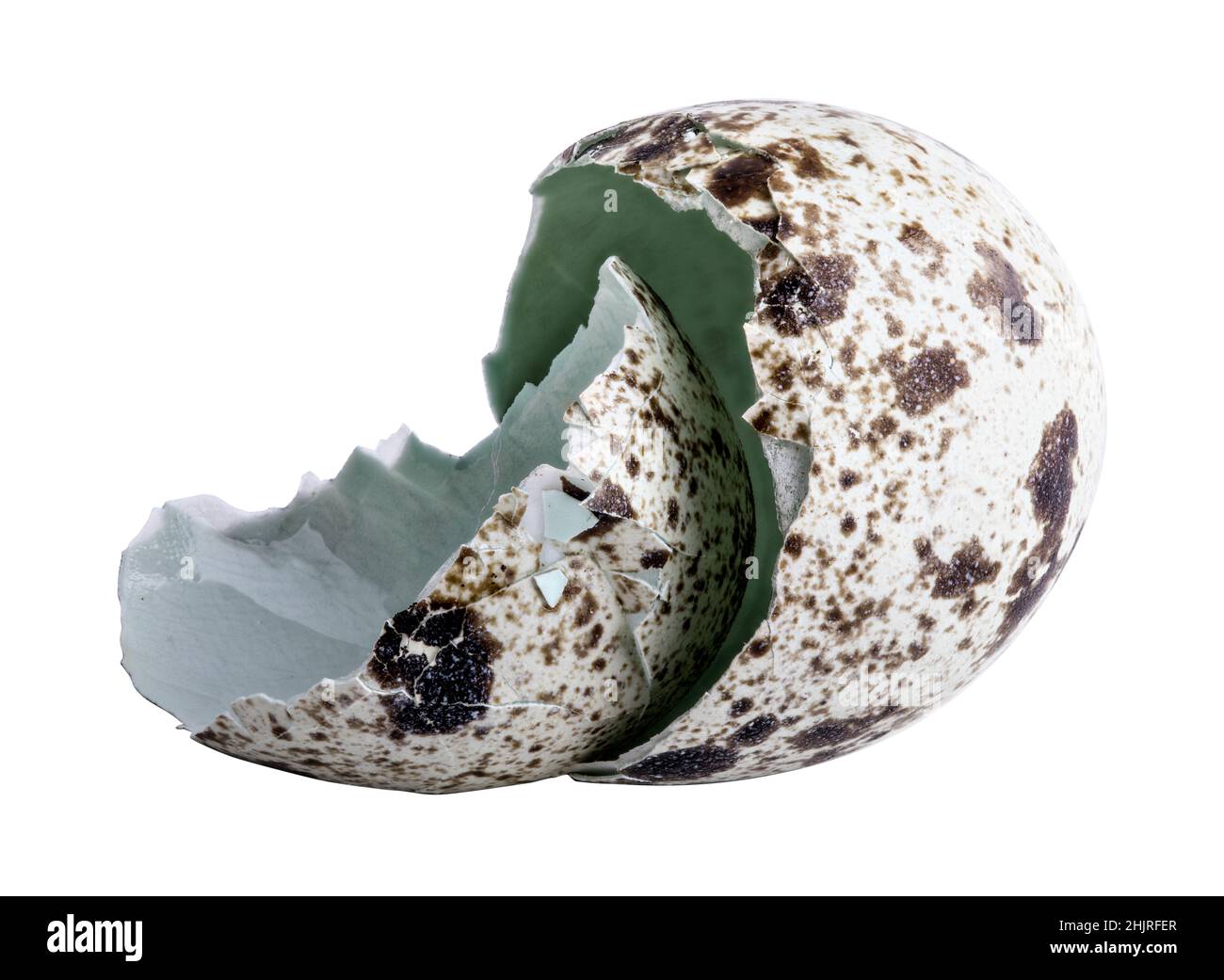 Broken quail egg shell isolated on white background. Clipping path ...