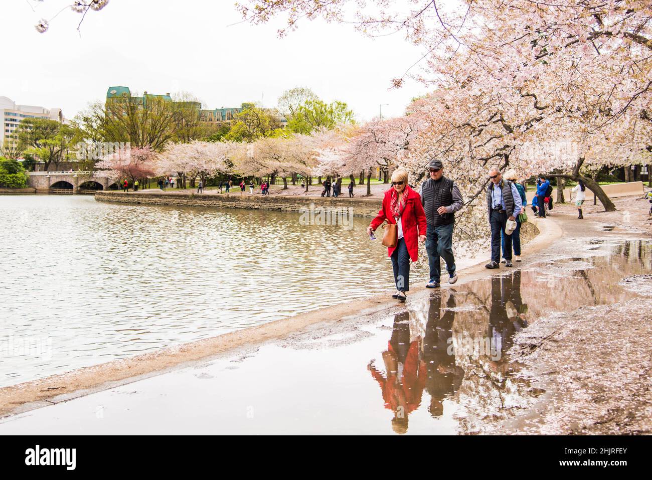 Tidal basin vista hi-res stock photography and images - Alamy