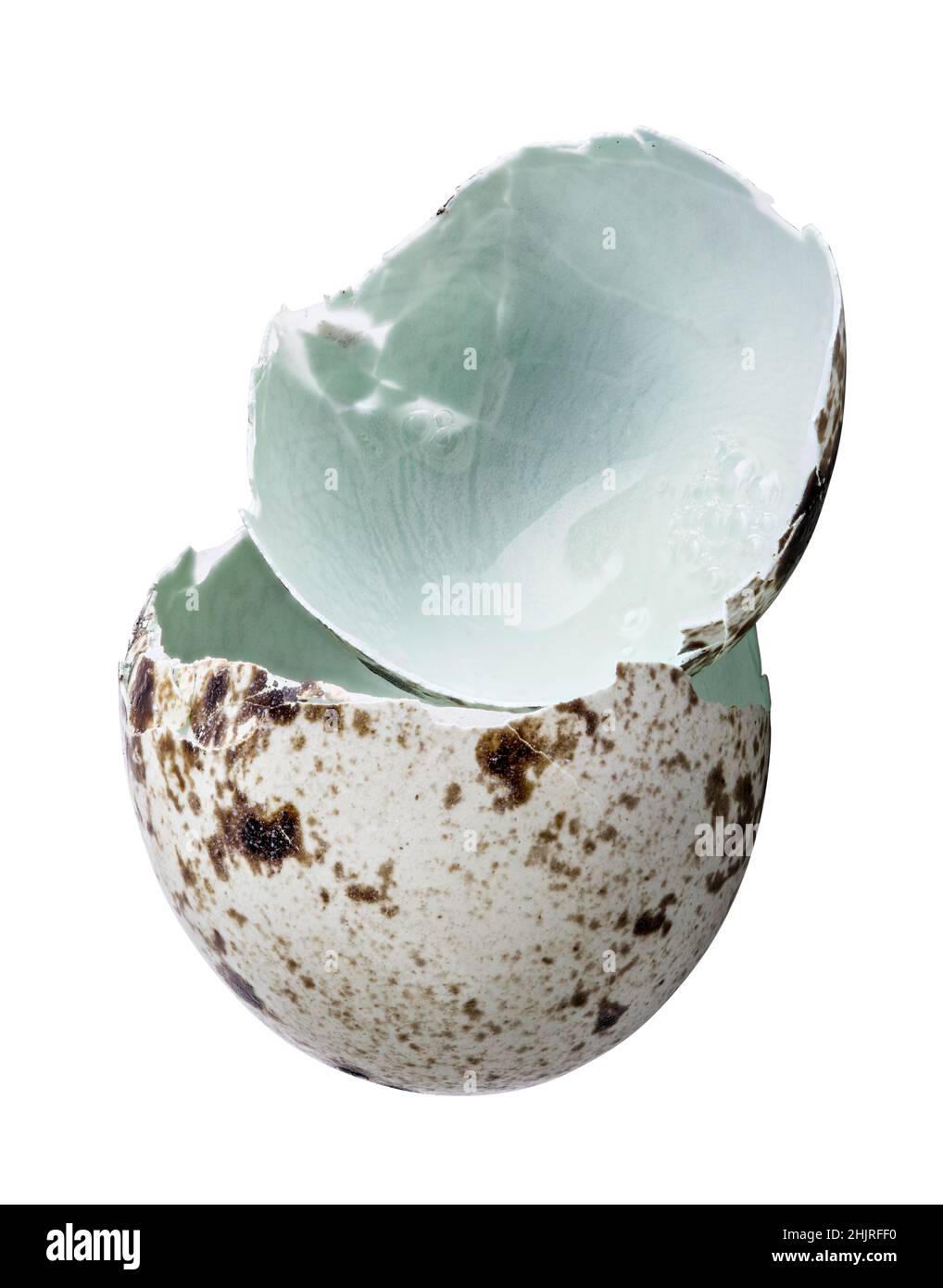 Broken quail egg shell isolated on white background. Clipping path ...