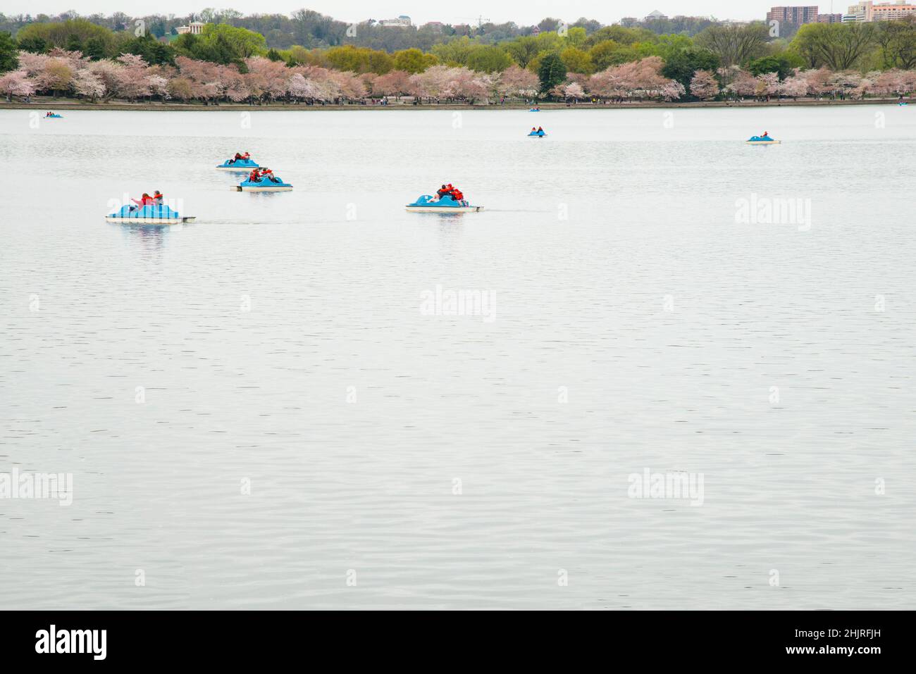 Tidal basin gardens hi-res stock photography and images - Alamy