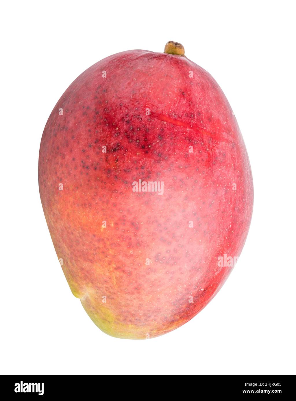 Fresh tomarillo fruit isolated on white background. Clipping path Stock ...