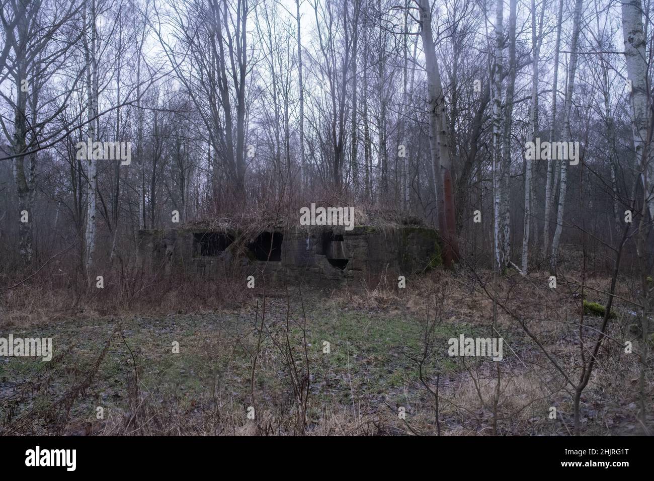 Zgorzelec map hi-res stock photography and images - Alamy