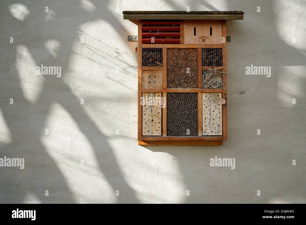 An insect hotel, an artificially created shelter, nesting and ...