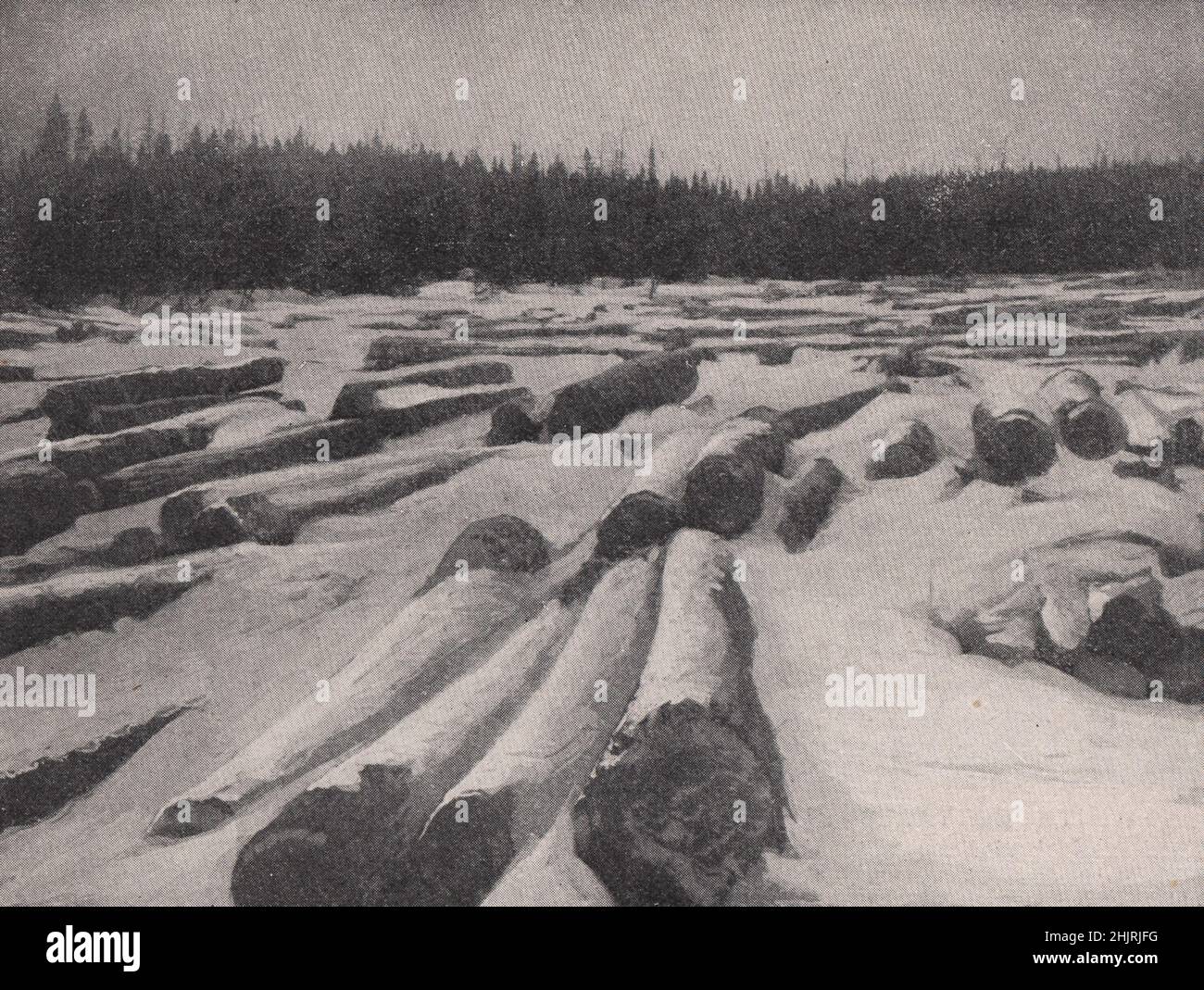 Canada lumber hi-res stock photography and images - Alamy